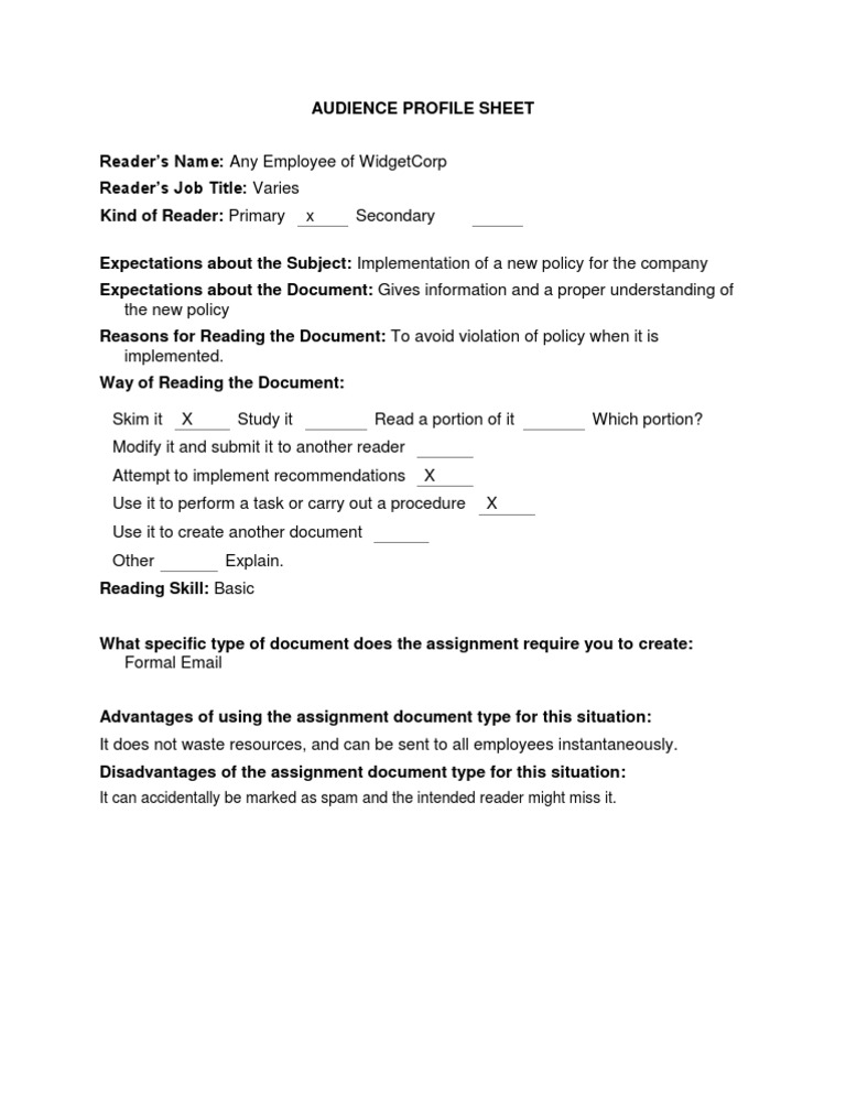 English211de - Audience Profile Sheet | PDF
