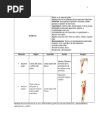 Fases Neurologicas de La Hipoglucemia | PDF