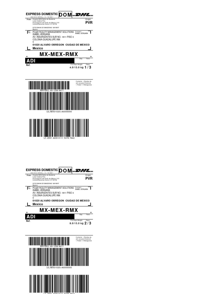 Guía - Storz - Devolución - Bomba | PDF