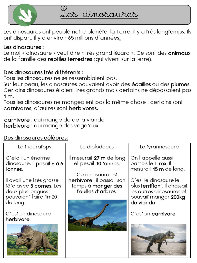 Lecture Documentaire Ce2 Dino Et Prehistoire | PDF | Dinosaures | Humain