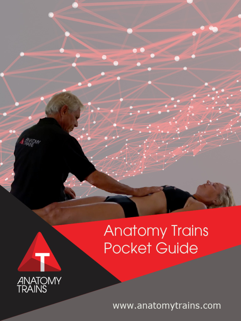 Anatomy Trains Pocket Guide v2 | PDF | Human Body | Extracellular Matrix