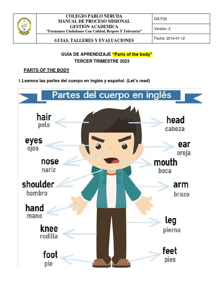 Guia de Ingles 3B Partes Del Cuerpo | PDF