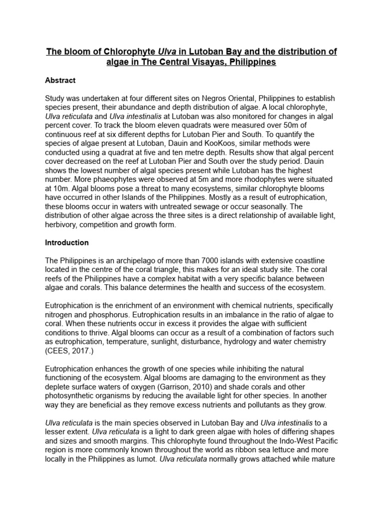Chlorophyte Ulva Bloom | PDF | Eutrophication | Coral Reef