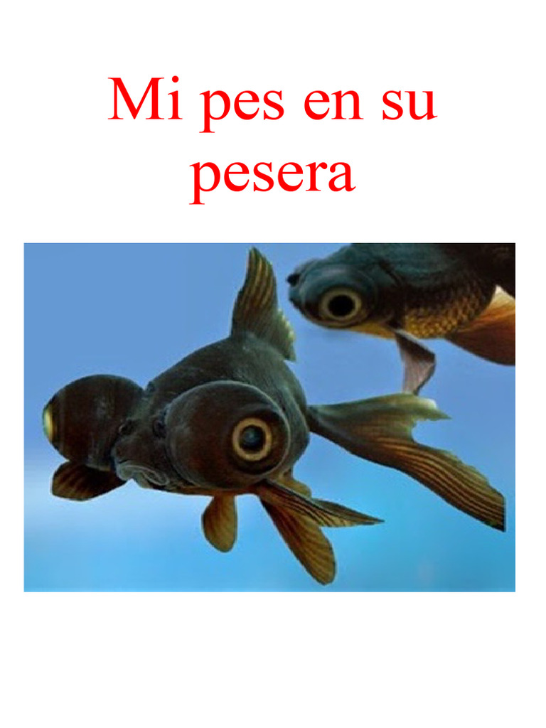 Mi pes en su pesera | PDF