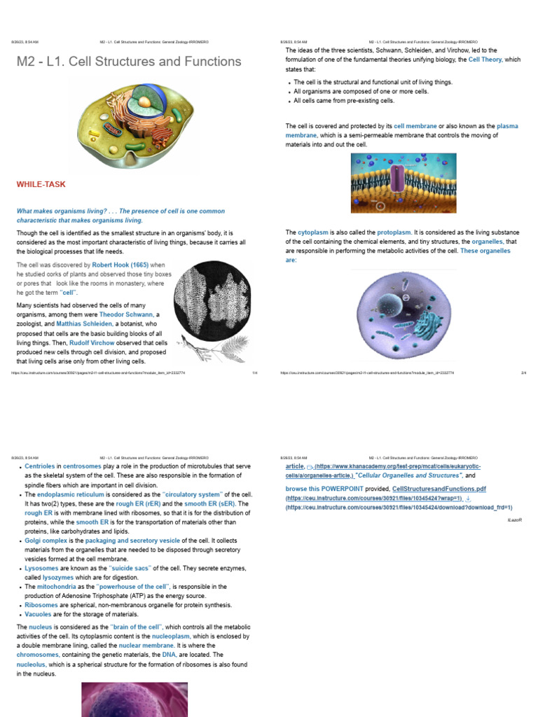 M2 - L1. Cell Structures and Functions | PDF | Endoplasmic Reticulum ...