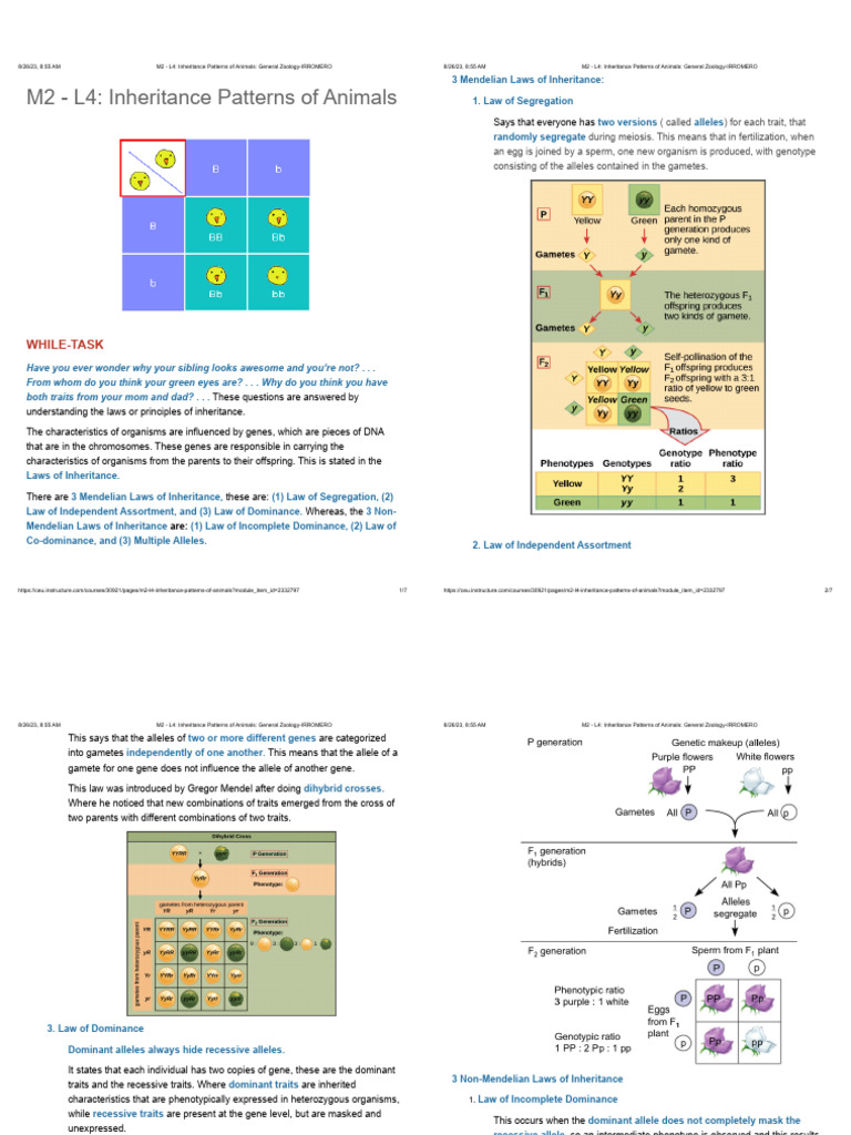 M2 - L4 - Inheritance Patterns of Animals | PDF | Dominance (Genetics) | Genetics