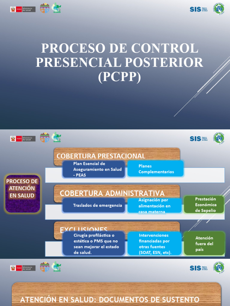 Proceso de Control Presencial Posterior (PCPP) | PDF