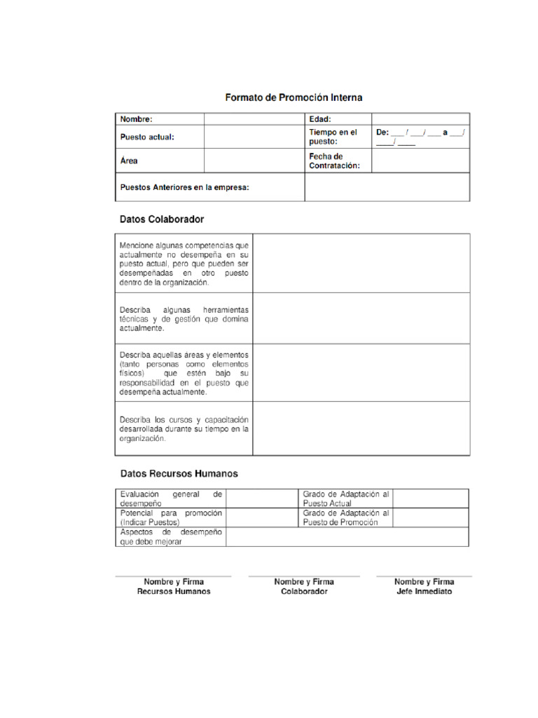 Formato Promoción de Puesto | PDF