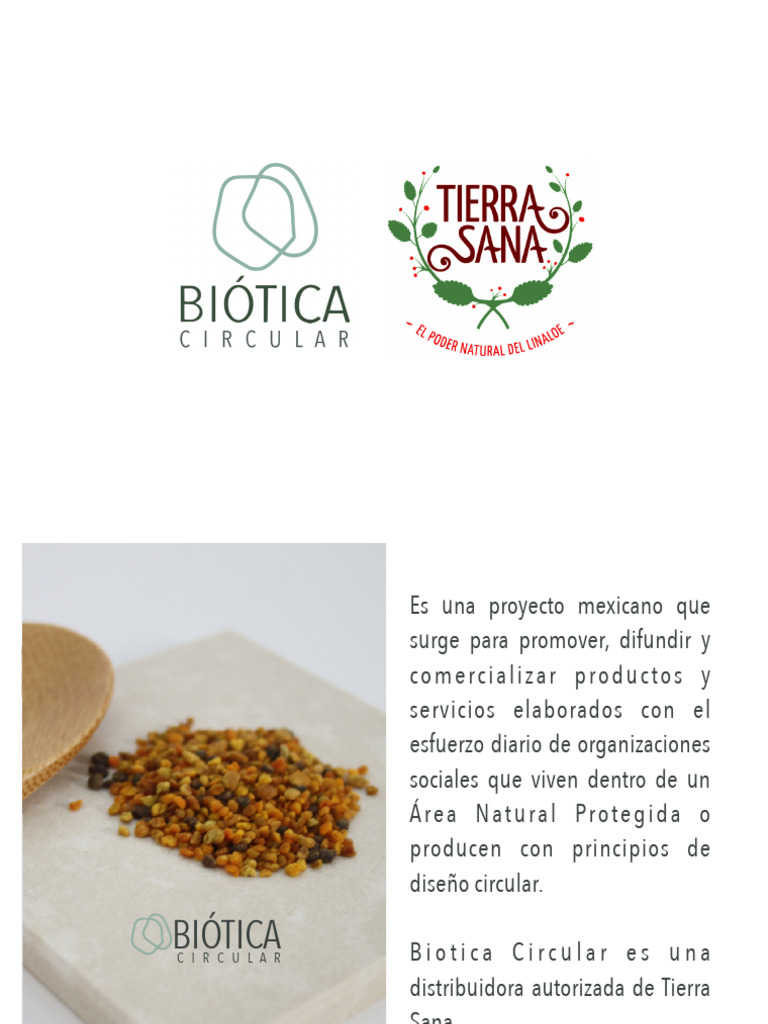 Beneficios del Aceite de Linaloe | PDF | Medicina CLINICA ...