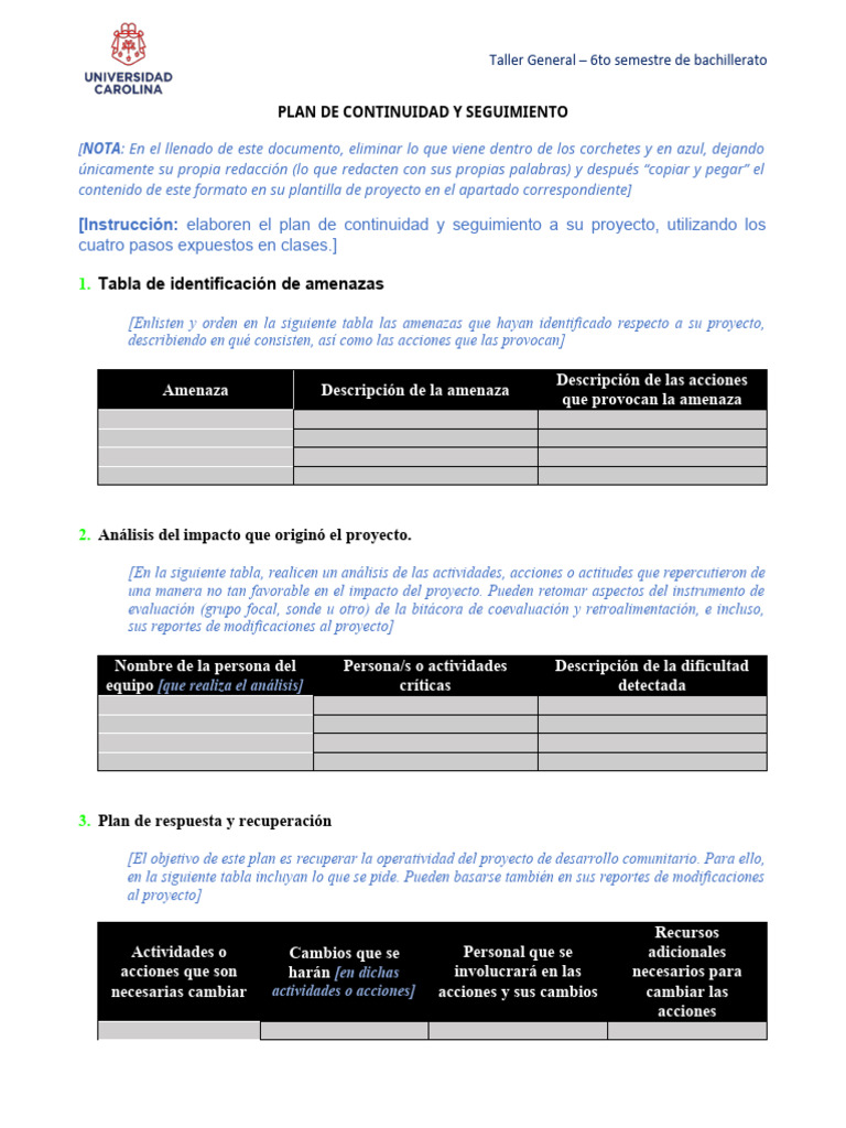Plan de Continuidad - Formato | PDF