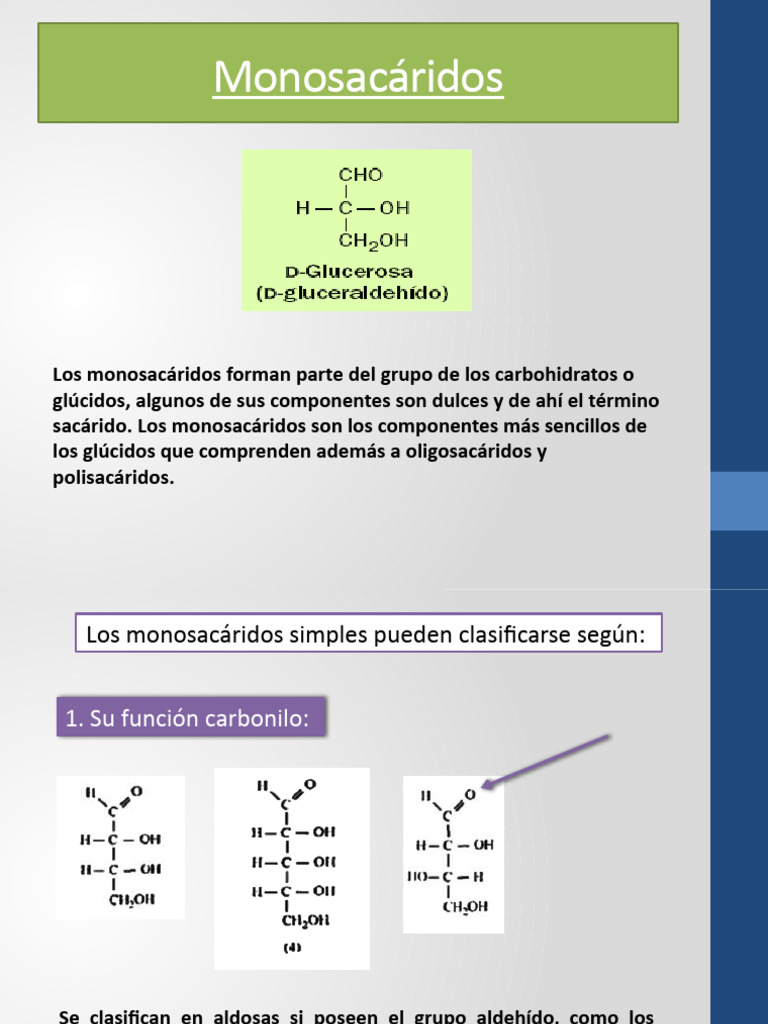 Monosacáridos: Estructura y Función | PDF | Carbohidratos | Glucosa
