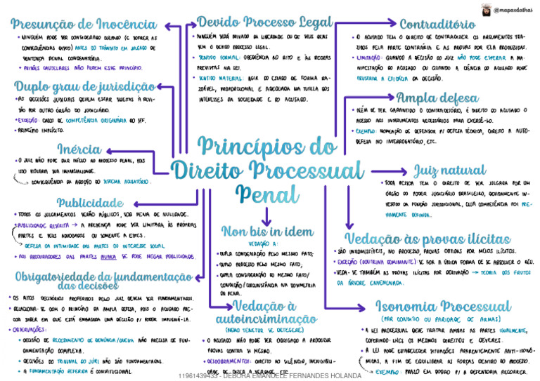 02 Mapa Mental Principios Do Direito Processual Penal Pdf