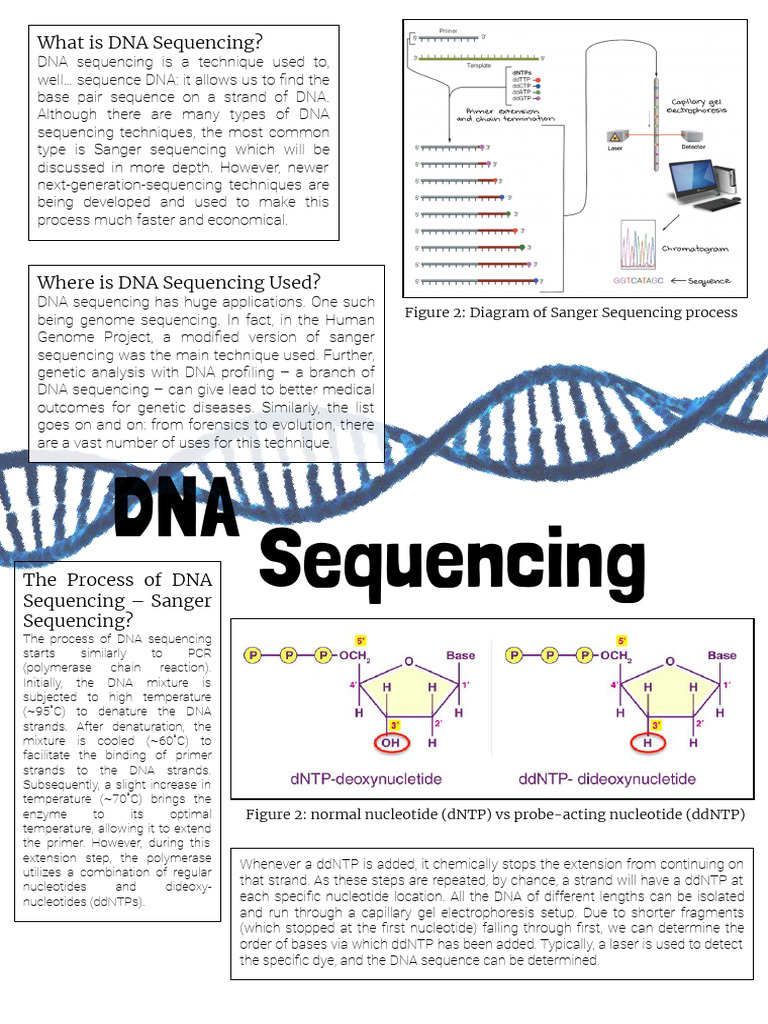 DNA Sequencing Poster | PDF | Dna Sequencing | Polymerase Chain Reaction