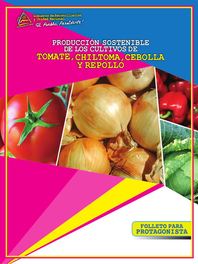 CARTILLA HORTALIZAS Tomate Chiltoma Cebolla y Repollo | PDF | Suelo | Riego