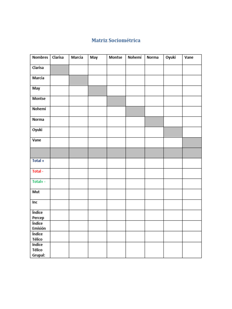 Matriz Sociométrica Simple | PDF