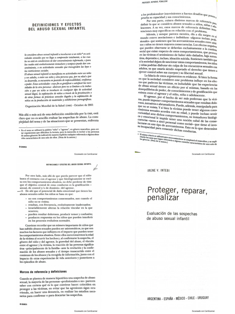 Proteger Reparar y Penalizar - INTEBI | PDF