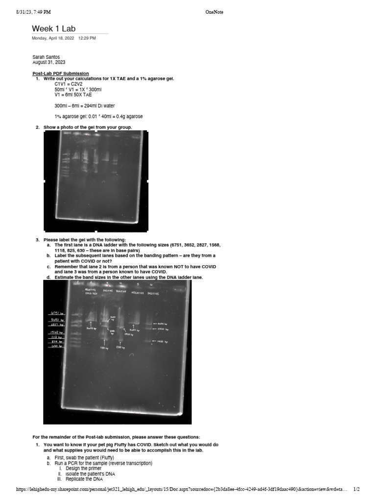 Week 1 Lab | PDF | Agarose Gel Electrophoresis | Gel Electrophoresis Week 1 Lab | PDF | Agarose Gel Electrophoresis | Gel Electrophoresis