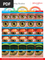 Staining Grading Oxford Schema (Bron) PDF | PDF | Staining | Ophthalmology