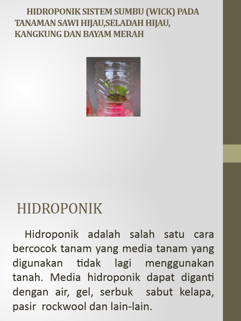 PP Hidroponik Sistrem Sumbu p5 23 | PDF