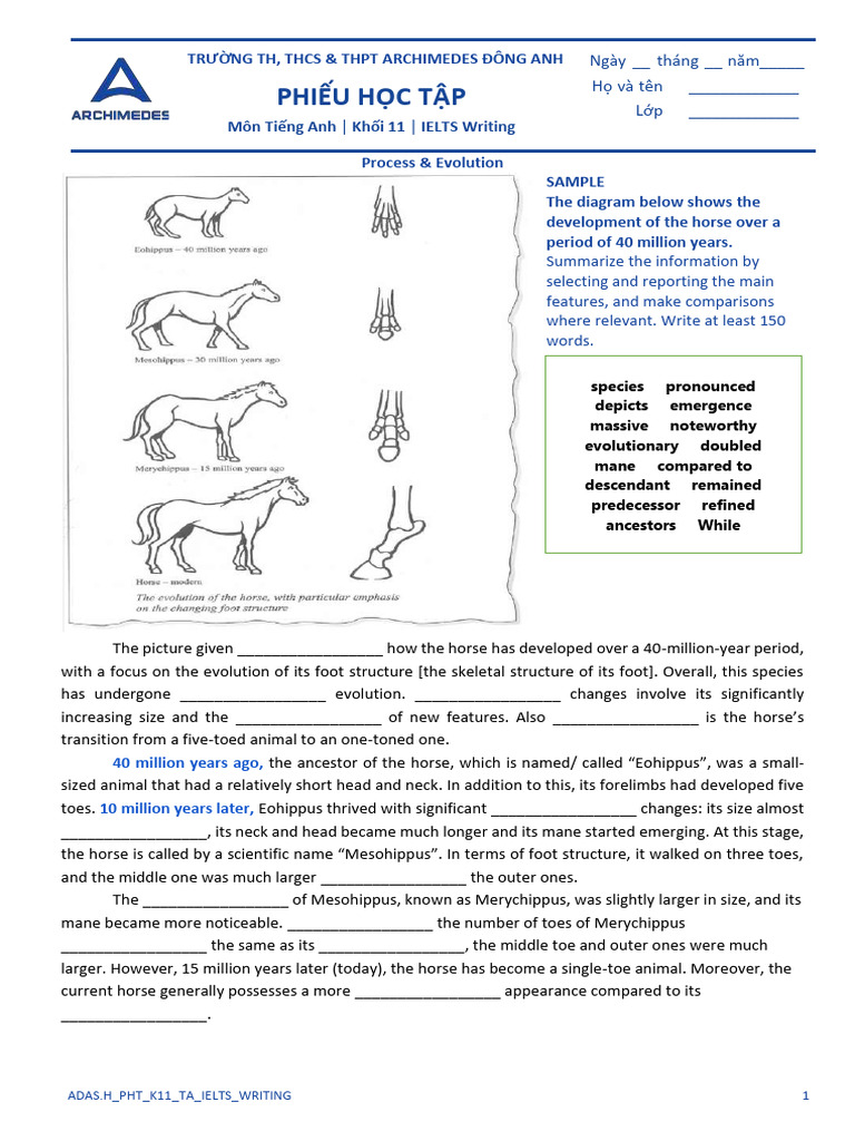 IELTS Writing Practice Guide | PDF | Stone Age | Horses