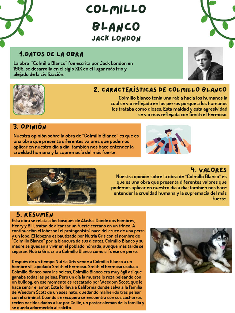 Poster Cartel Los Animales Doodle Informativo Infantil Ilustrado ...