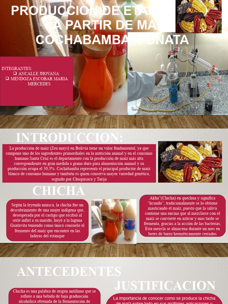 Elaboracion Del A Chicha | PDF | Maíz | Bebida