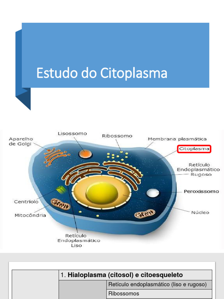 Citologia - Citoplasma | PDF | Citoplasma | Lisossoma