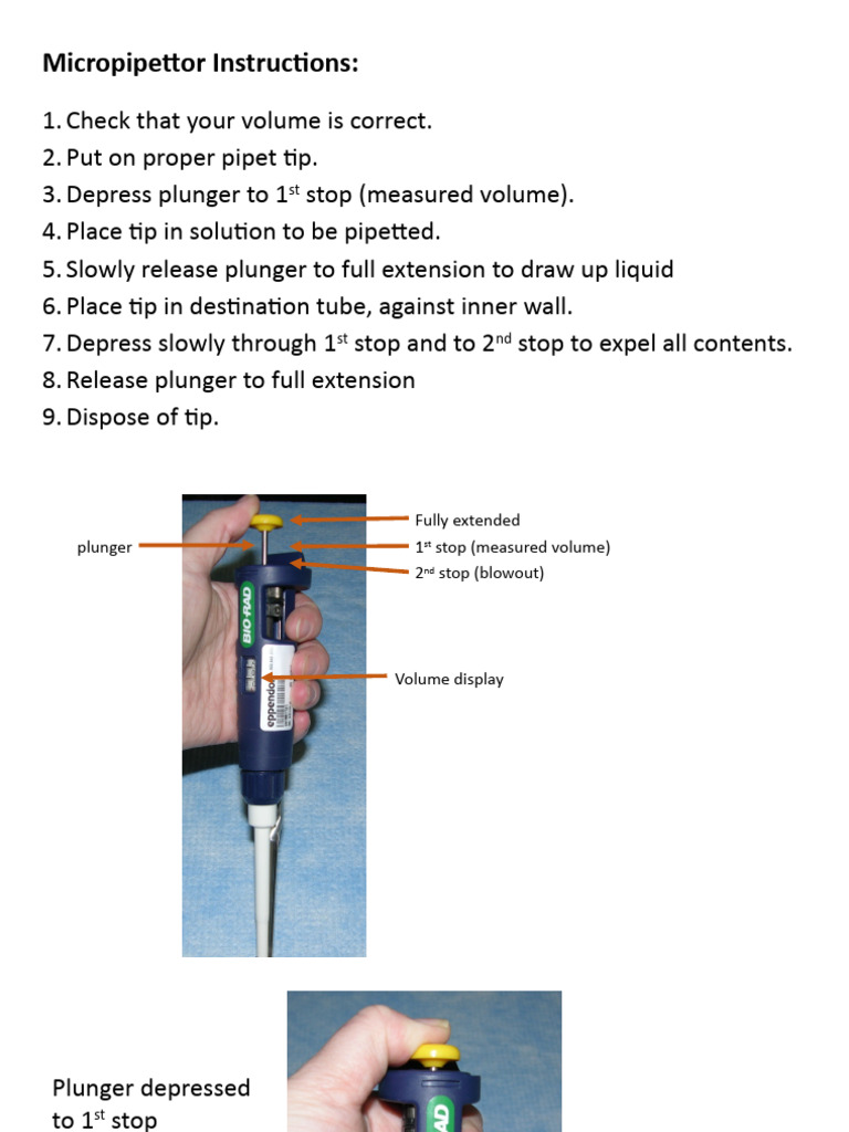 1 - Pipetting Lab Directions Examples | PDF | Volume | Laboratory Equipment