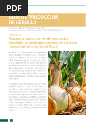 Guía De Cebollas Verdes En Pies Cuadrados