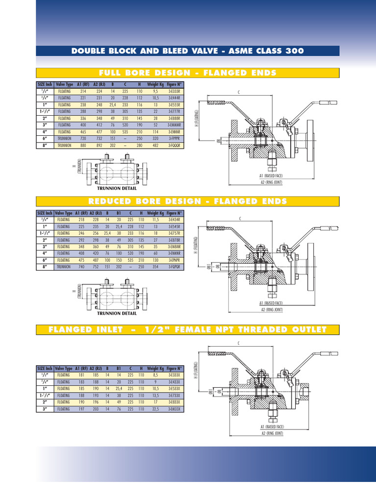 DBB Asme Class 300 | PDF | Gas Technologies | Plumbing