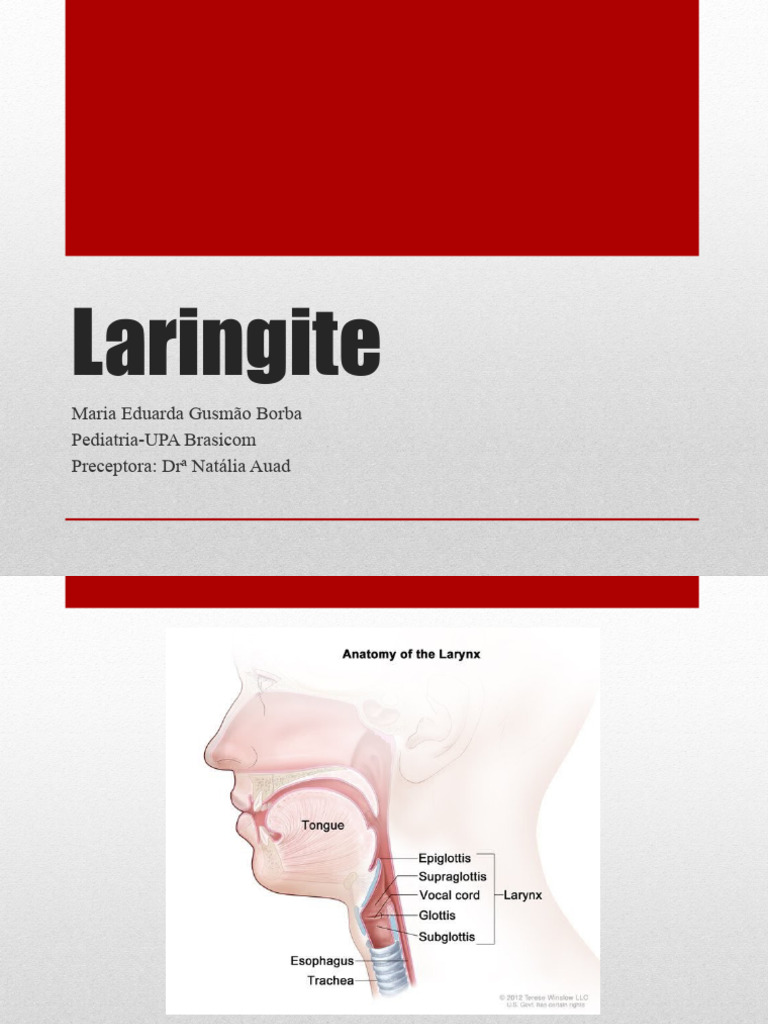 Laringite | PDF