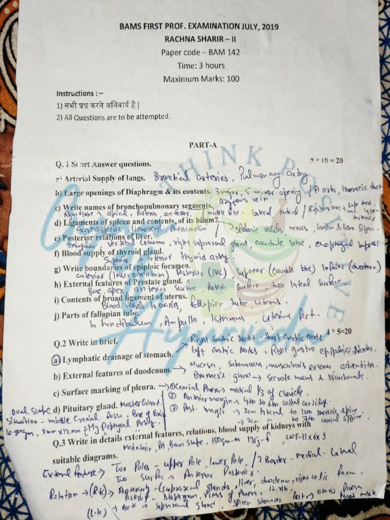 Anatomy Solved Question Paper | PDF