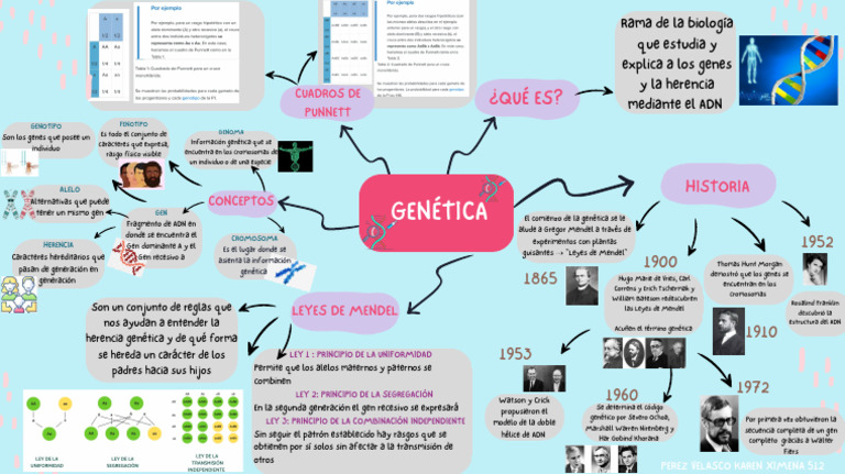 Mapa Mixto Biodiversidad | PDF | Dominancia (Genética) | Gene