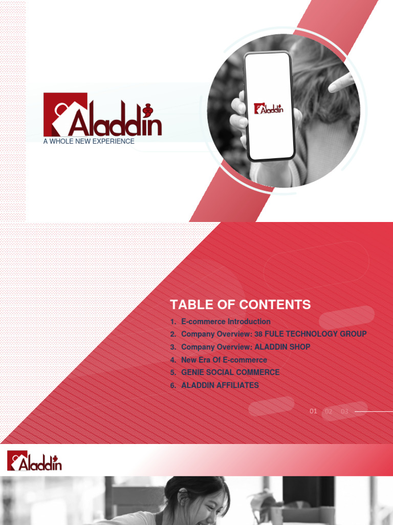 Aladdin Compensation Payplan! | PDF | E Commerce | Marketing
