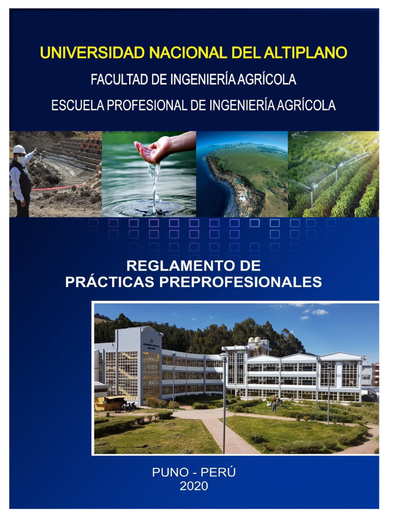 Reglamento Practica Pre Profesional | PDF | Evaluación | Regulación