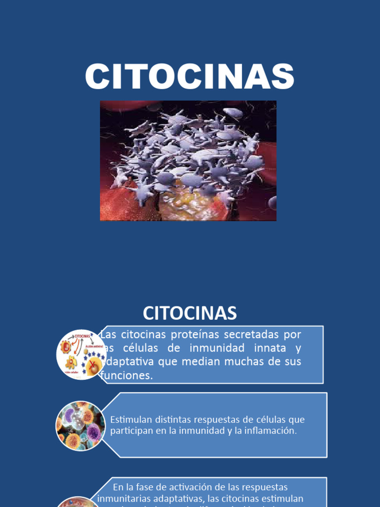 Citocinas: Funciones y Propiedades | PDF | Citocina | Sistema inmune