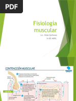 Ejemplos de Movimiento Ameboide | PDF | Músculo esquelético | Biología ...