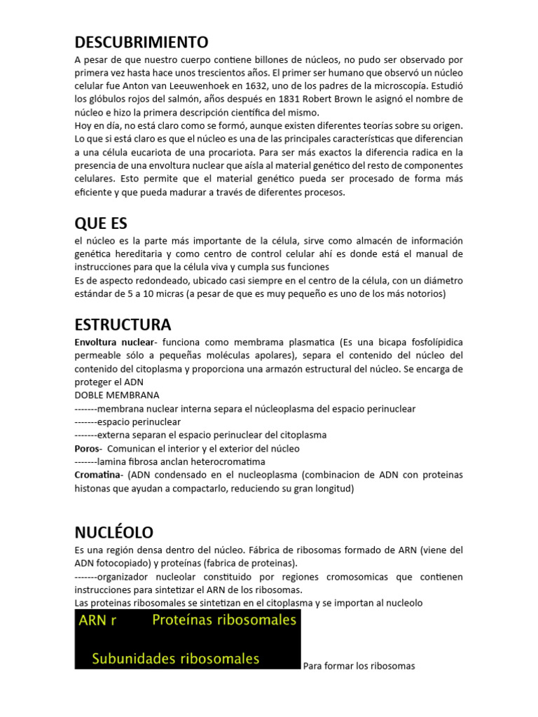 Núcleo Y Nucleolo Pdf Nucleo Celular Biología Celular