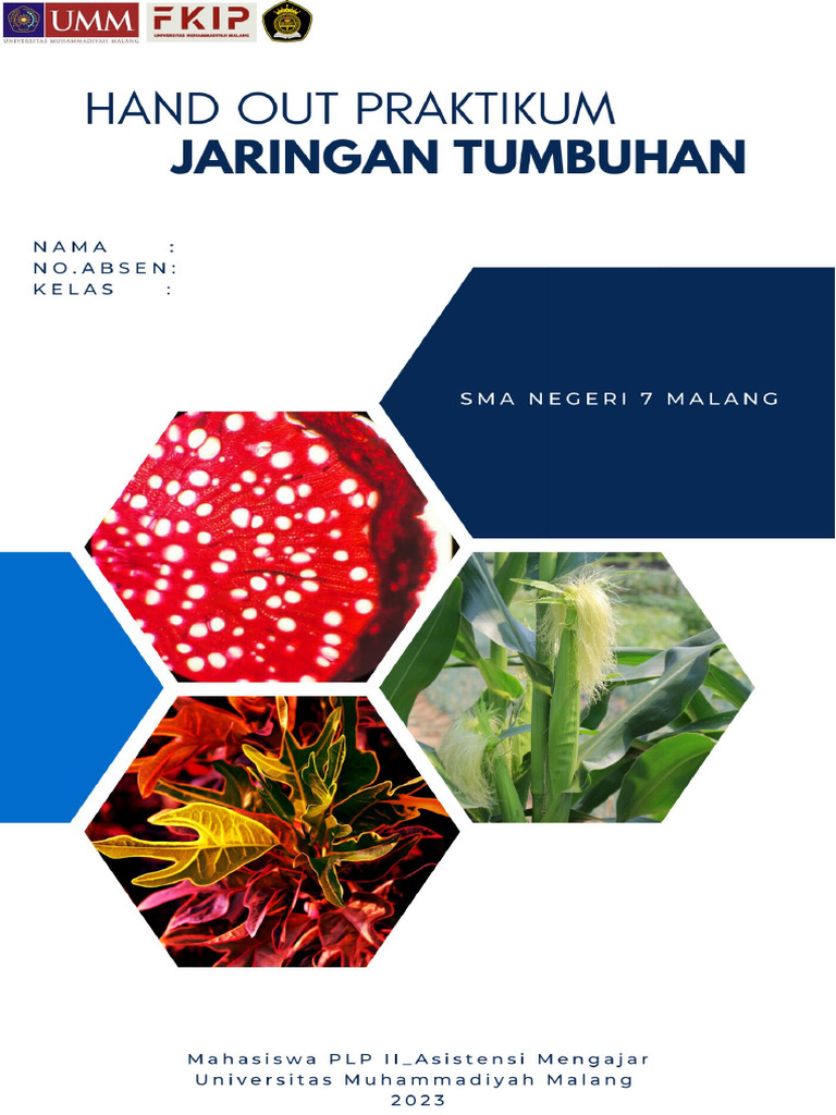 Handout Praktikum Jaringan Tumbuhan | PDF