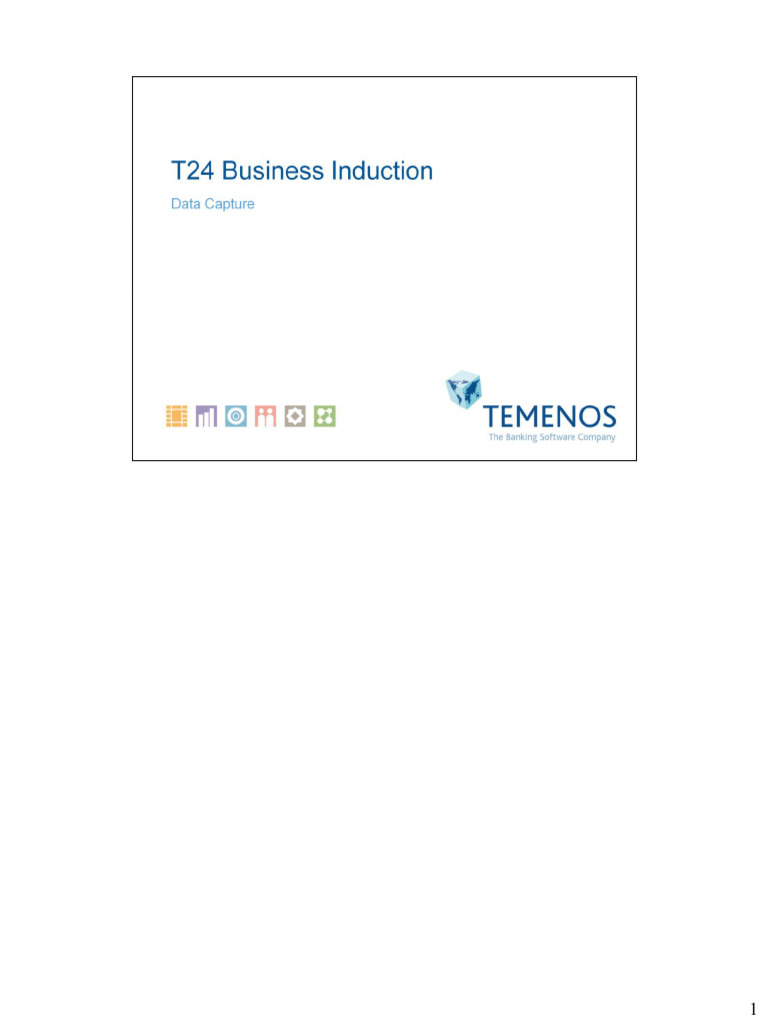 T24 Data Capture | PDF