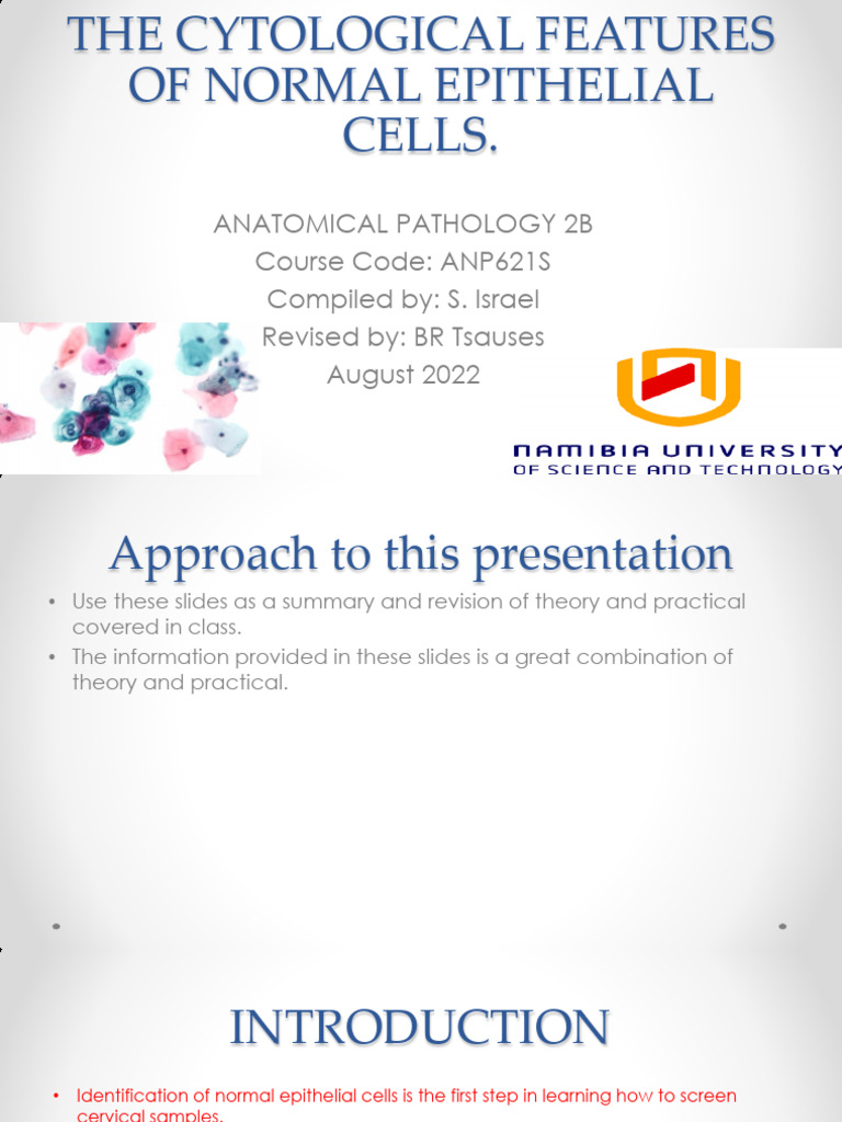 Cytology of Normal Epithelial Cells | PDF | Staining | Epithelium