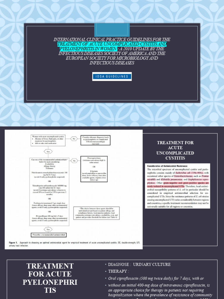 Guidelines for Treating Cystitis & Pyelonephritis | PDF | Urinary Tract ...