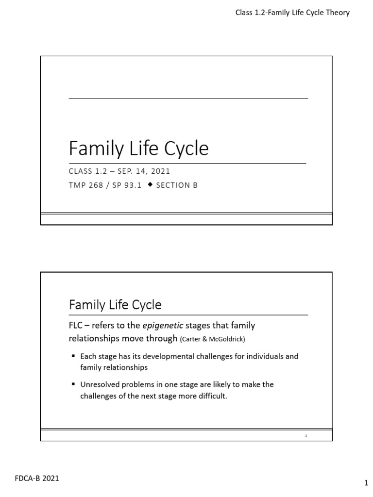 Family Life Cycle Theory Overview | PDF | Family | Adolescence
