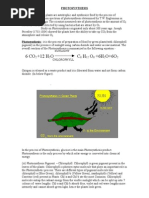 Autopsy of A Dill Pickle Person Lab | PDF | Abdomen | Anatomical Terms ...