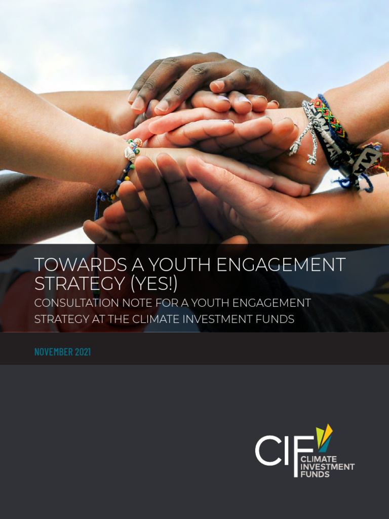 Towards A Youth Engagement Strategy Pdf Climate Change Developing