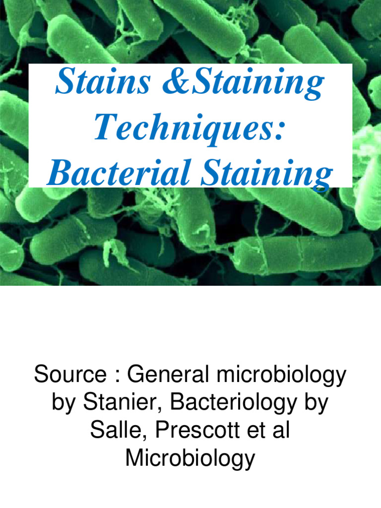 Bacterial Staining MCBG P1 T | PDF | Staining | Bacteria