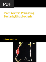 Culture Media Types and Preparation | PDF | Growth Medium | Microbiology