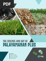 Flowchart of The Rice Production Process | PDF | Rice | Grain