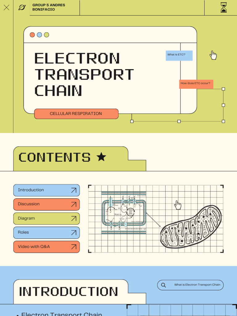 Electron Transport Chain | PDF | Electron Transport Chain | Mitochondrion