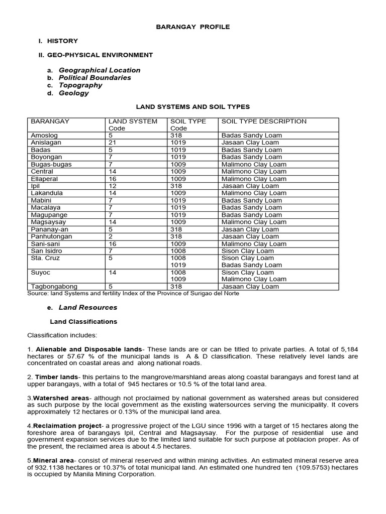 Brgy Profile | PDF | Landslide | Mortality Rate